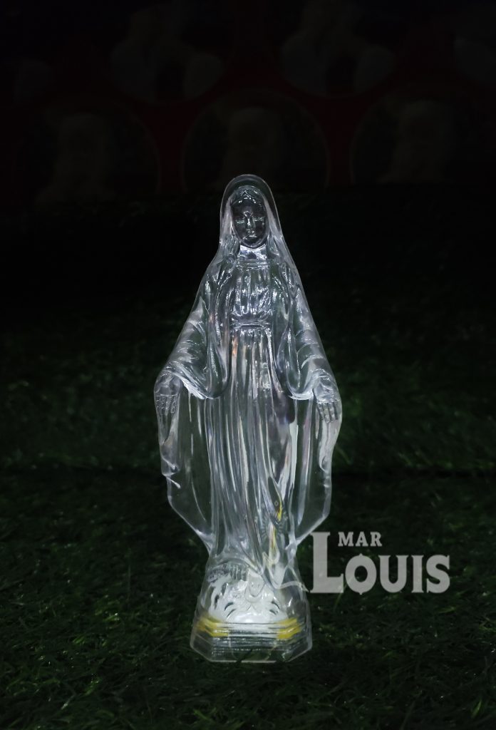 PL-22-IMMACULATE MARY – Mar Louis Kochi – A Project of Ernakulam ...